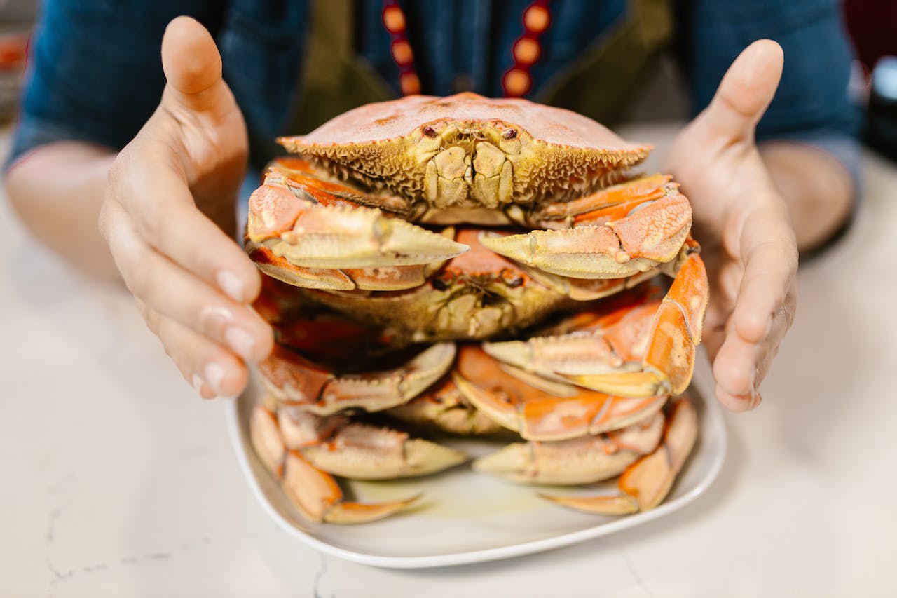 From Clumsy To Crab Cracker Pro: The Power Of The Right Crab Cracking ...